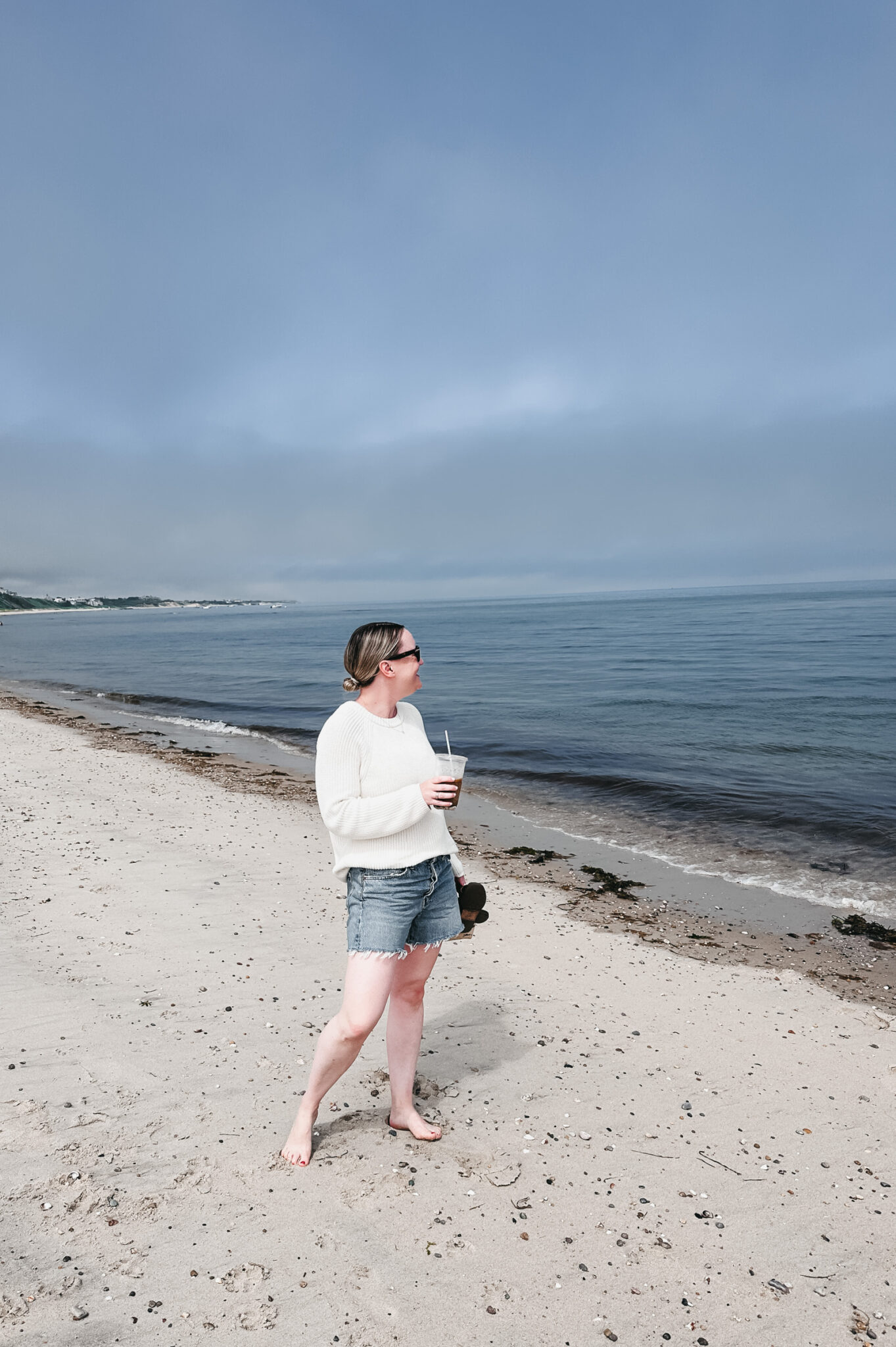 Nantucket Guide - wit & whimsy