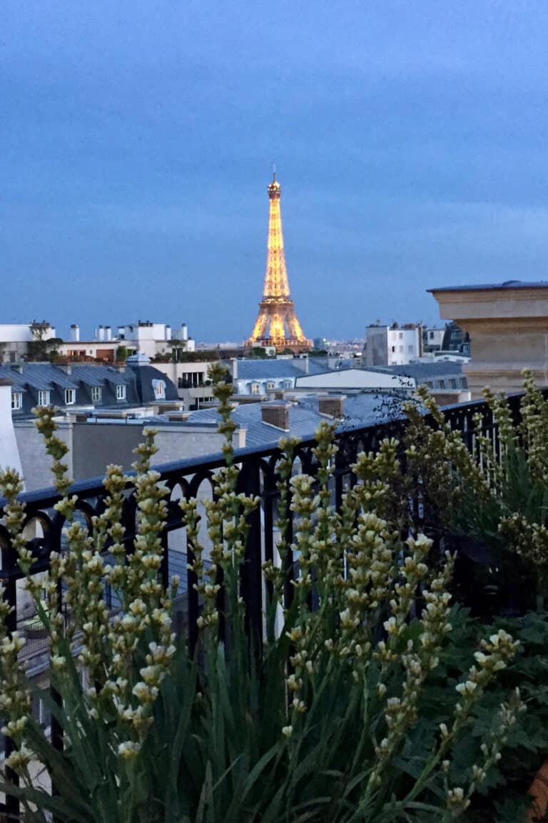 The Best Views of The Eiffel Tower In Paris - wit & whimsy