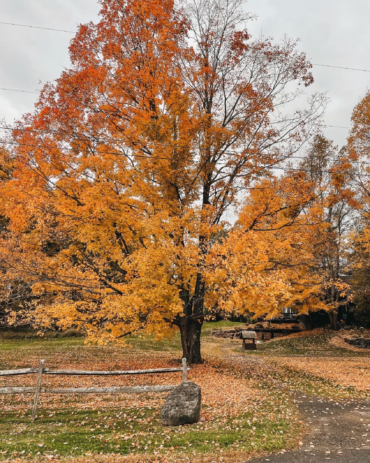 Berkshires In The Fall Travel Guide - wit & whimsy