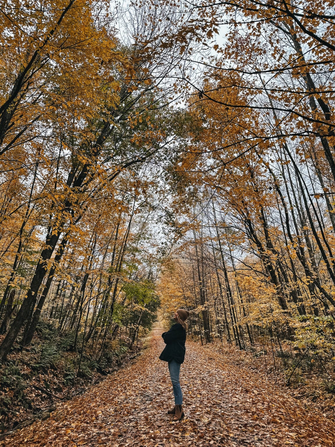 Berkshires In The Fall Travel Guide - wit & whimsy